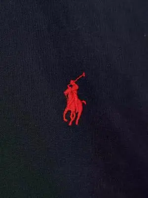Polo Ralph Lauren Embroidered V-insert Crew Neck Sweater