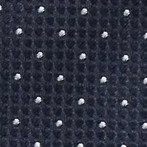 Canali Silk Polka Dot Neck Tie
