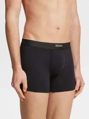 Zegna Logo Waist-side Panties
