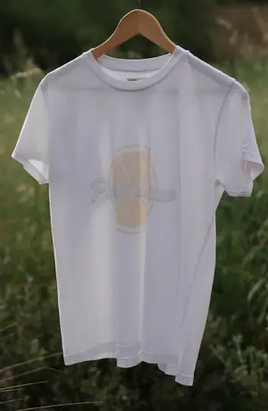 CALIFORNIA INCLINE Point Dume Citrus Tee