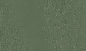 Spanx Oversize Short Sleeve Collared Shirt - Eucalyptus