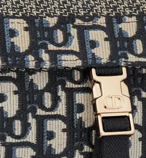 Dior Small Diorcamp Bag