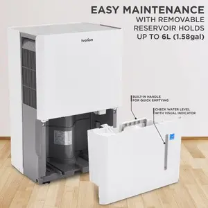 IVATION Energy Star Dehumidifier With Hose Connector