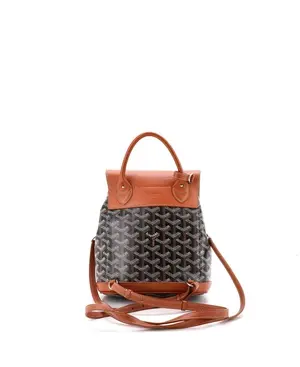 Goyard Mini Alpin Backpack Coated Canvas - Brown