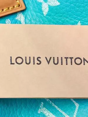 LOUIS VUITTON Speedy P9 Bandoulière Handbag