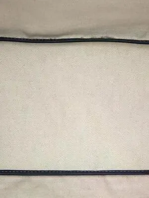 Goyard Saint Louis Pm Tote Bag