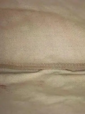 Gucci Gg Supreme Canvas Crossbody Bag