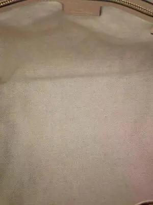 Gucci Gg Canvas Web Shoulder Bag