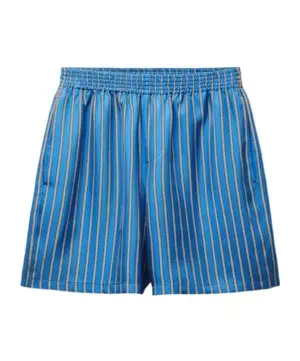 Versace Printed Silk Twill Shorts - Blue