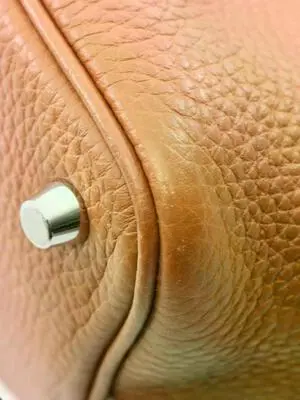 Hermès 2020 Picotan Lock Tote Bag - Neutrals
