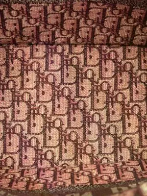 Dior Medium Embroidered Canvas Book Tote Bag