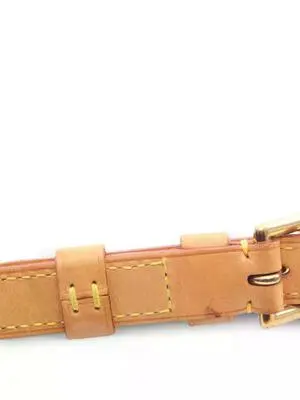 LOUIS VUITTON Musette Tango Shoulder Bag