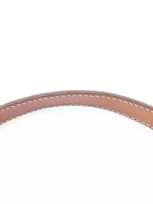 Celine Triomphe Canvas Crossbody Bag