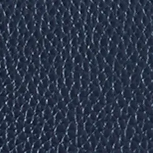Mulberry Lily Shoulder Bag - Blue