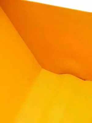 Goyard Minaudière Trunk Shoulder Bag