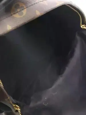 LOUIS VUITTON Palm Springs Pm Backpack - Brown