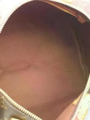 LOUIS VUITTON Monogram Speedy 25 Handbag