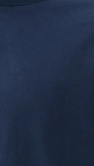 Madewell Rockaway Tee