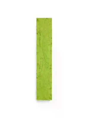 Shanghai Tang Crane And Pine Jacquard Double-sided Scarf - Green