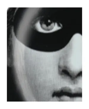 FORNASETTI Illustration Printed Plate
