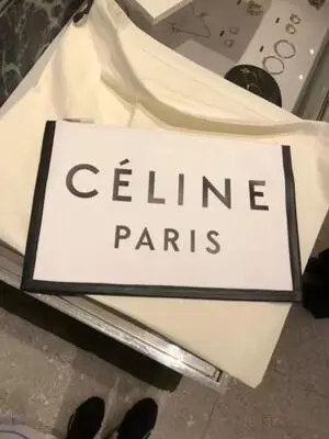 Celine Printed Clutch