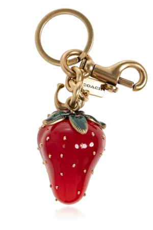 COACH Keyring With Charms