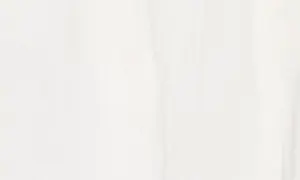Elan Raw Hem Cotton Cover-up Shorts