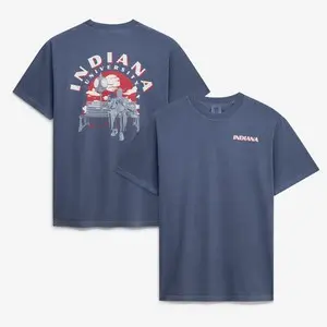IMAGE ONE Indiana Hoosiers Comfort Colors Team Statue T-shirt - Navy