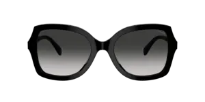 COACH Sunglass Cw225 - Grey Gradient