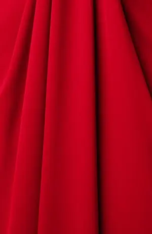 Adrianna Papell Ruched Drape Sleeveless Jersey Gown