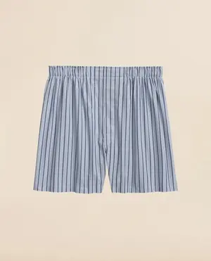 Brooks Brothers Cotton Broadcloth Striped Boxers - Blue