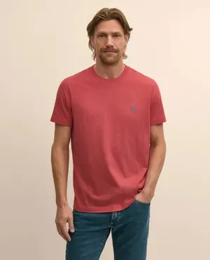 Brooks Brothers Supima Cotton Jersey T-shirt - Red Heather
