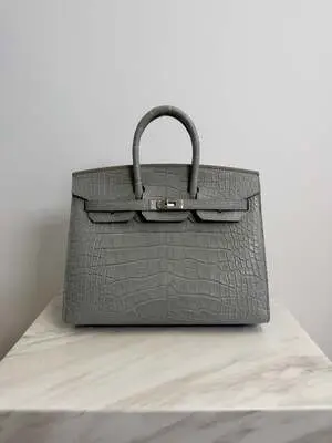 Hermès Birkin Matte Alligator Palladium Hardware - Grey