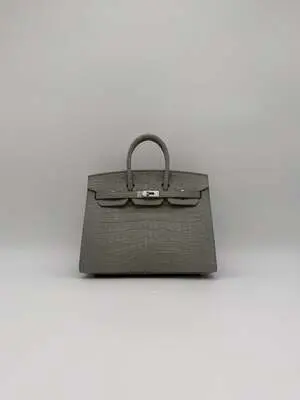 Hermès Birkin Matte Alligator Palladium Hardware
