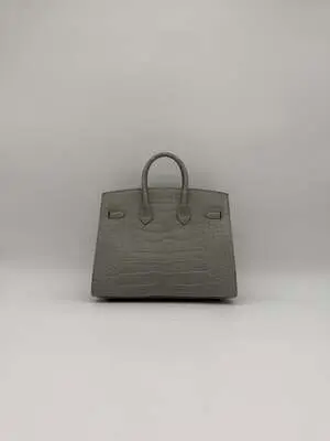 Hermès Birkin Matte Alligator Palladium Hardware