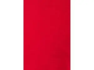 Madewell Bella Slub Tee - Red