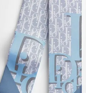 Dior Infini Mitzah Scarf