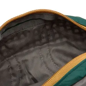 Patagonia Terravia Mini Hip Pack