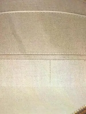 Celine Canvas And Calfskin Triomphe Camera Shoulder Bag