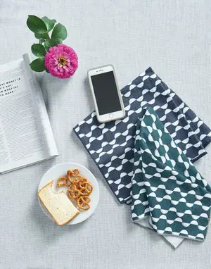 Carol & Frank Lee Indigo Napkin Set Of 4