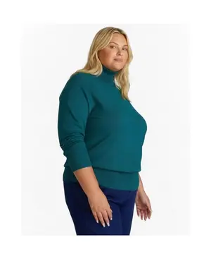 Universal Standard Plus Renee Savvy Fine Knit Raglan Turtleneck