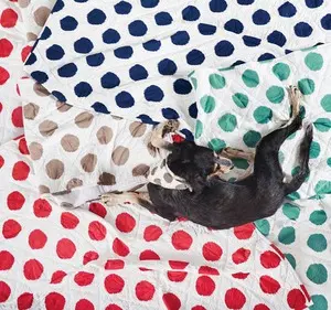 Carol & Frank Pet Dog Or Cat Tomato Pattern Quilt Throw Blanket