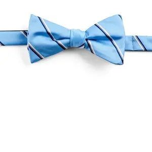 SYNRGY BY DXL Traditional Striped Bow Tie - Blue