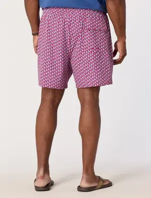 Vineyard Vines Big & Tall Printed Chappy Swim Trunks V3