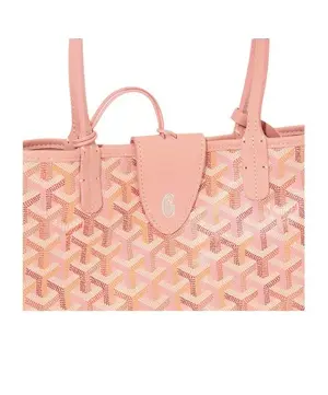 Goyard Anjou Mini Bag