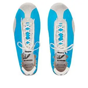 PANE Zephyr Pouching 'time Traveler' Sneakers