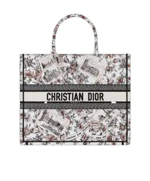 Dior Large Book Tote