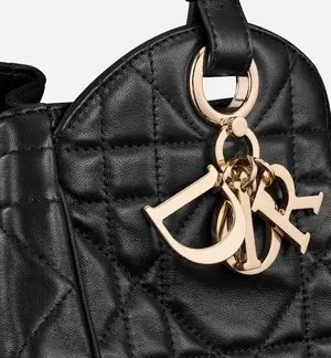 Dior Medium D-motion Bag