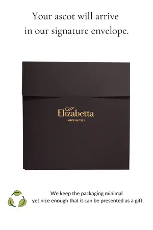 ELIZABETTA Valentino Silk Ascot Cravat Tie - Silver
