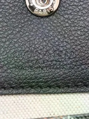 Goyard Saint Louis Pm Tote Bag